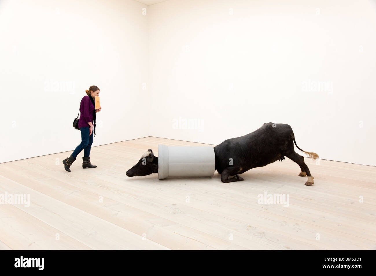 Saatchigallery hi-res stock photography and images - Alamy