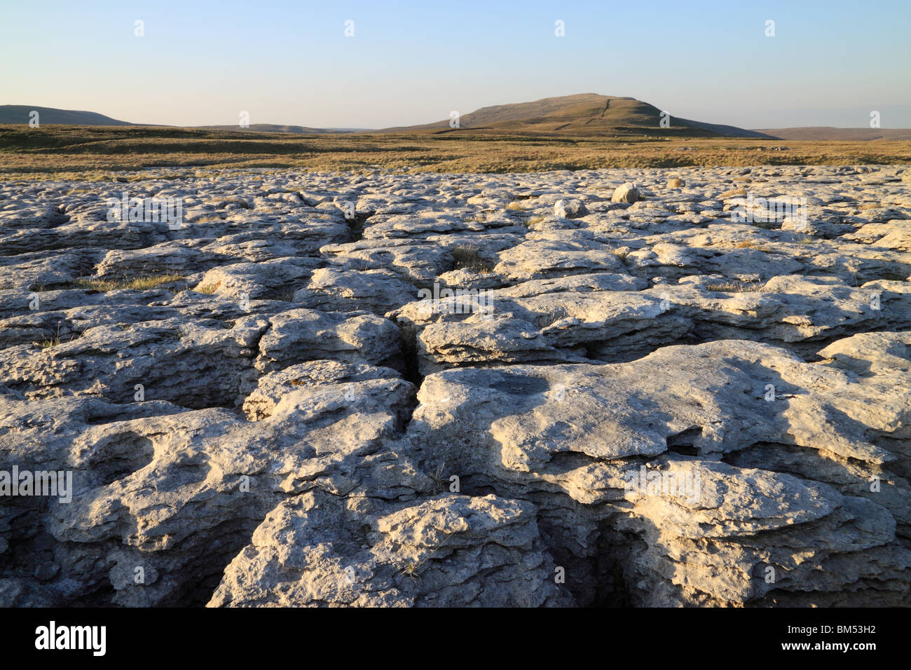 Limestone pavement boulders hi-res stock photography and images - Alamy