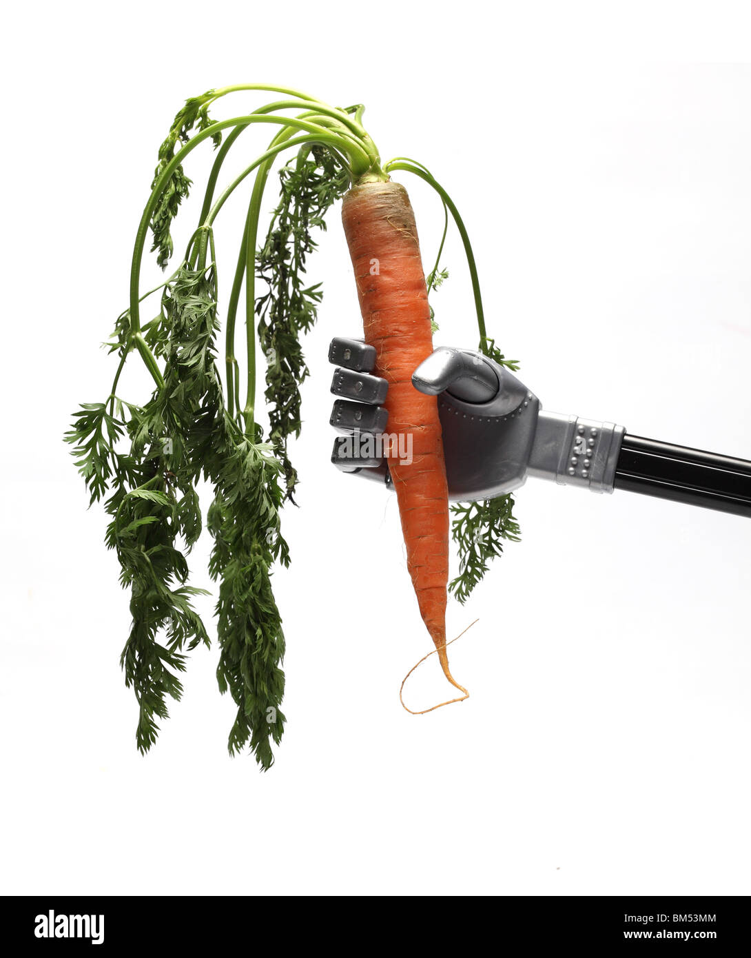 Futuristic humanoid robot holding Cut Out Stock Images & Pictures - Alamy