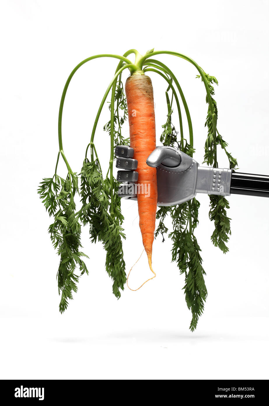 robot holding carrot Stock Photo - Alamy