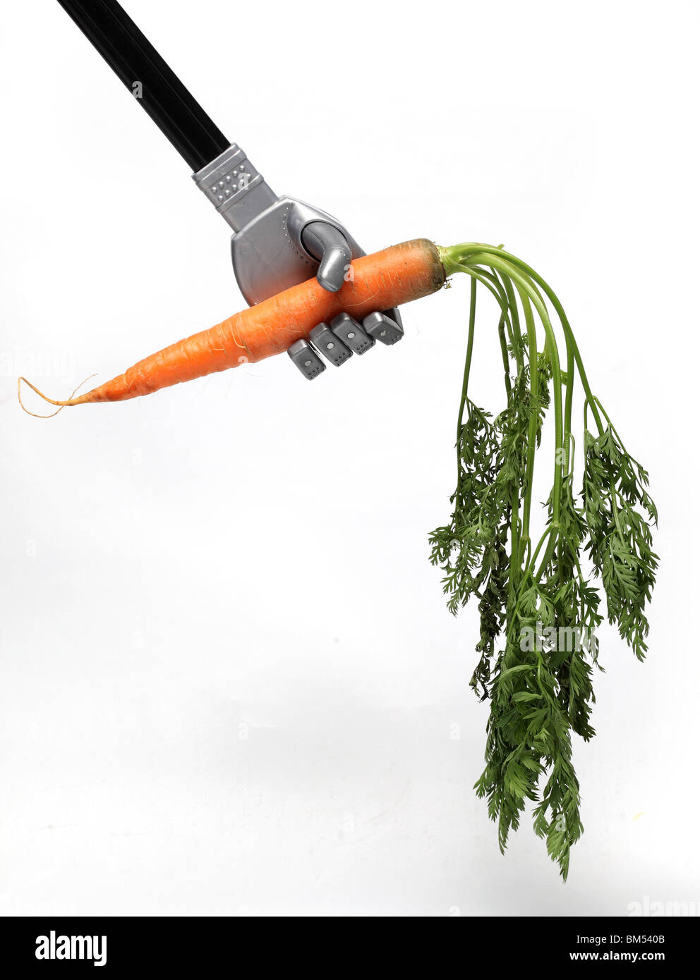 robot holding carrot Stock Photo - Alamy