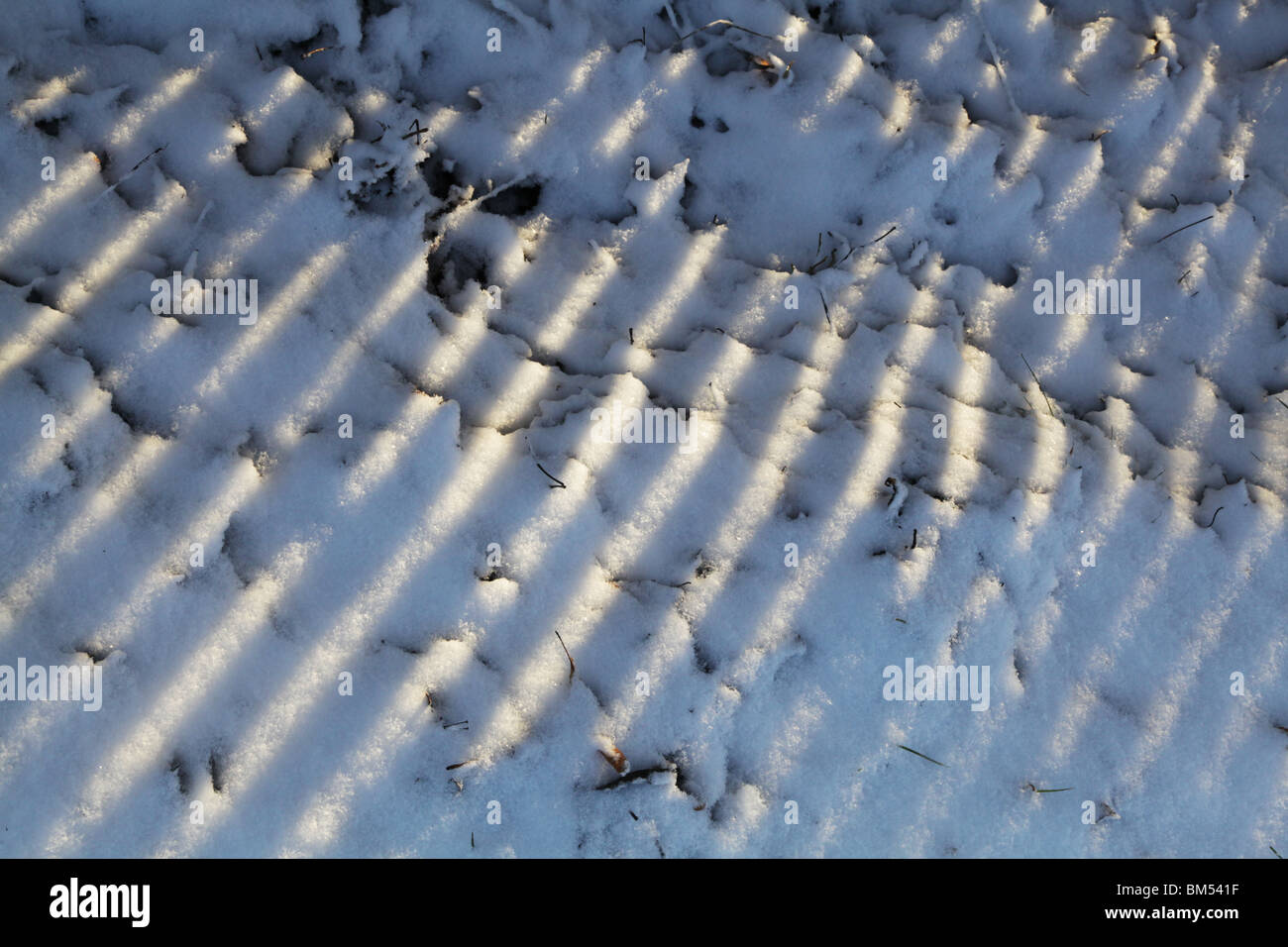 A traditional garden fence casts long shadows over snow in the low ...