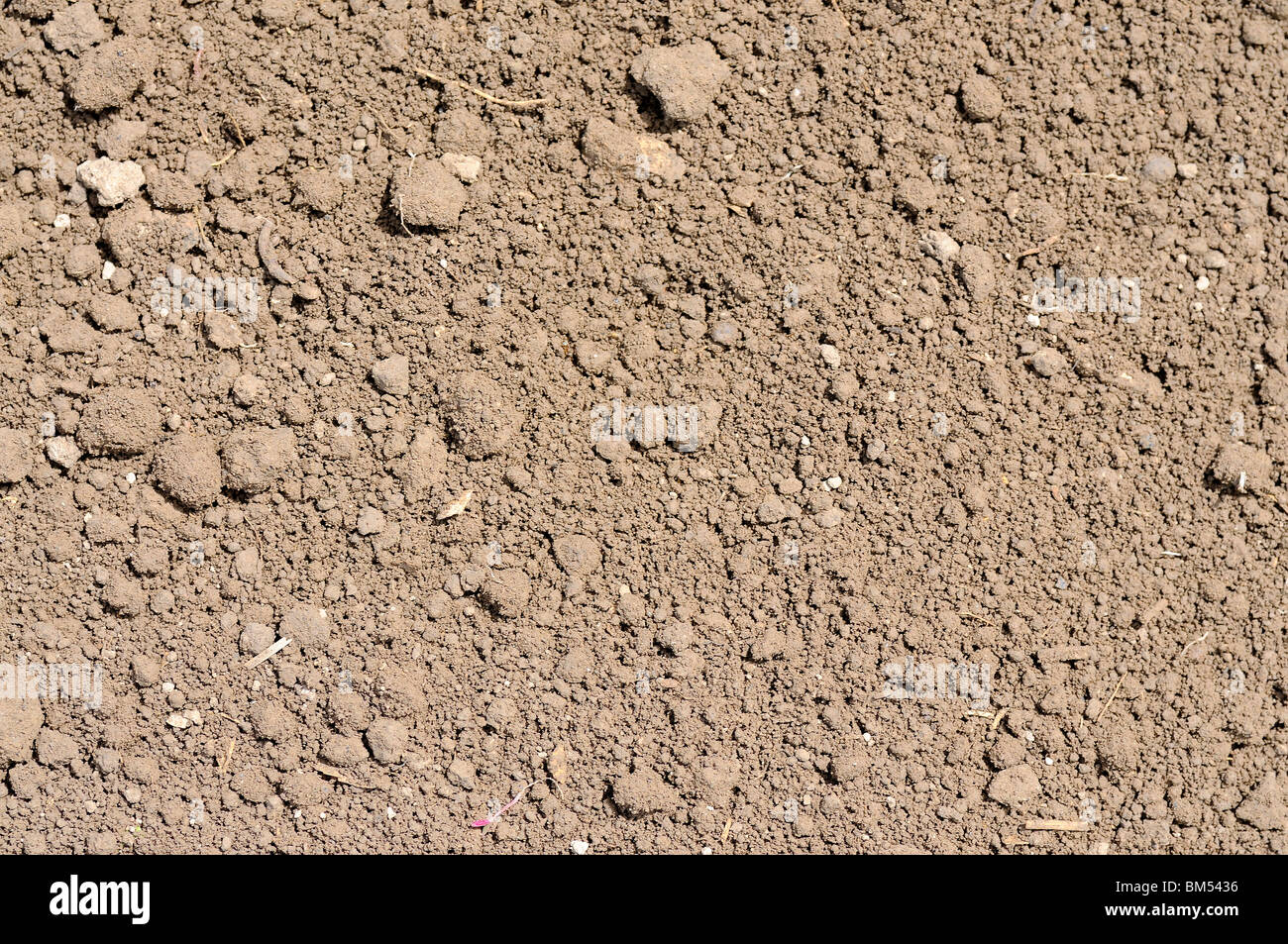 Close-up of tilled garden soil Stock Photo - Alamy