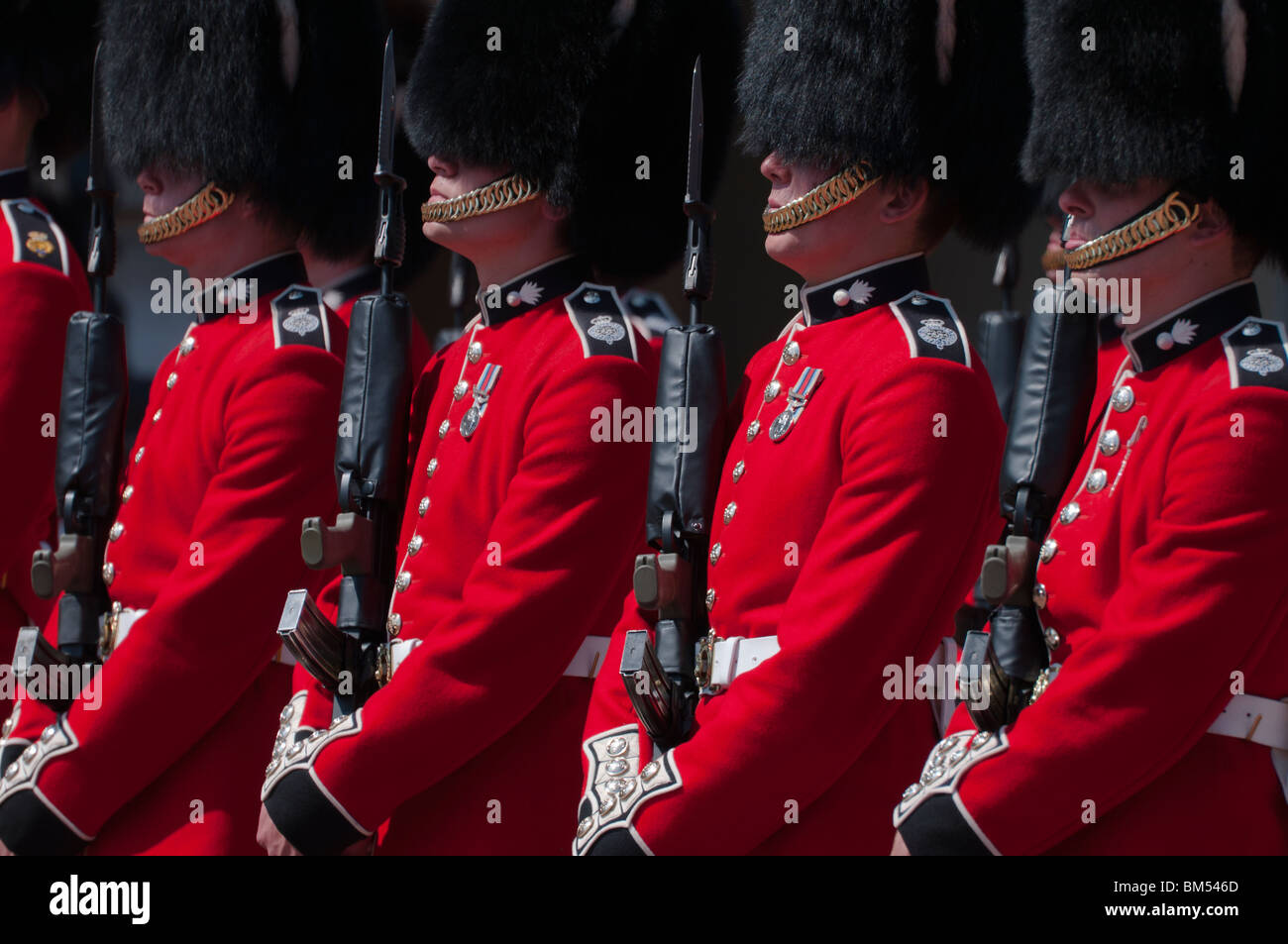 Grenadier Guards Palace High Resolution Stock Photography and Images ...