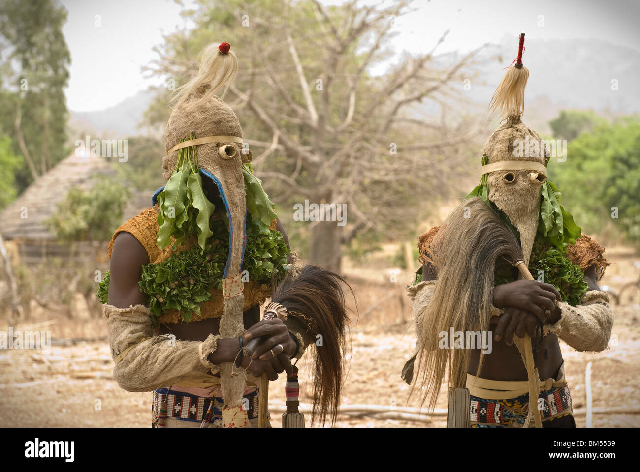 Bassari celebration with dancers on traditional clothes, Ethiolo ...