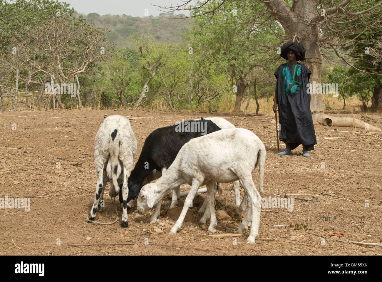 African shepherds people hi-res stock photography and images - Alamy