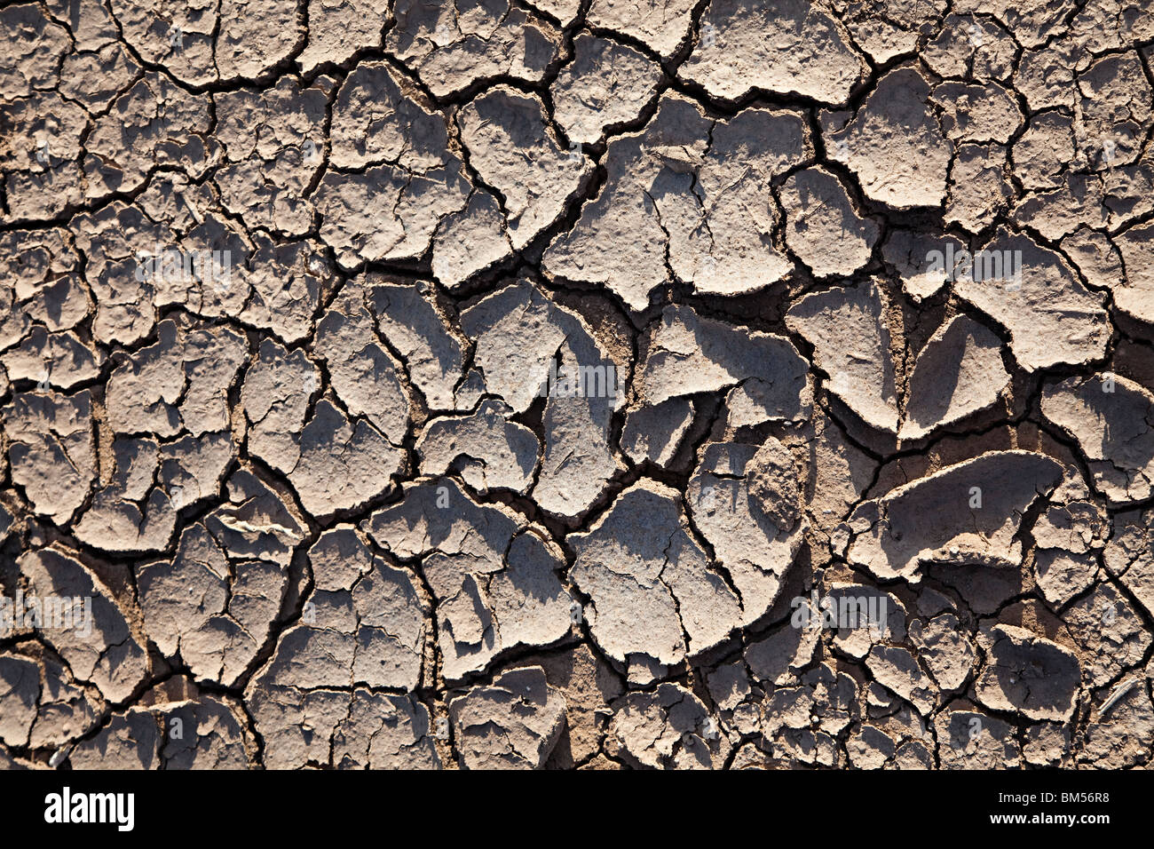Dry cracked earth hi-res stock photography and images - Alamy