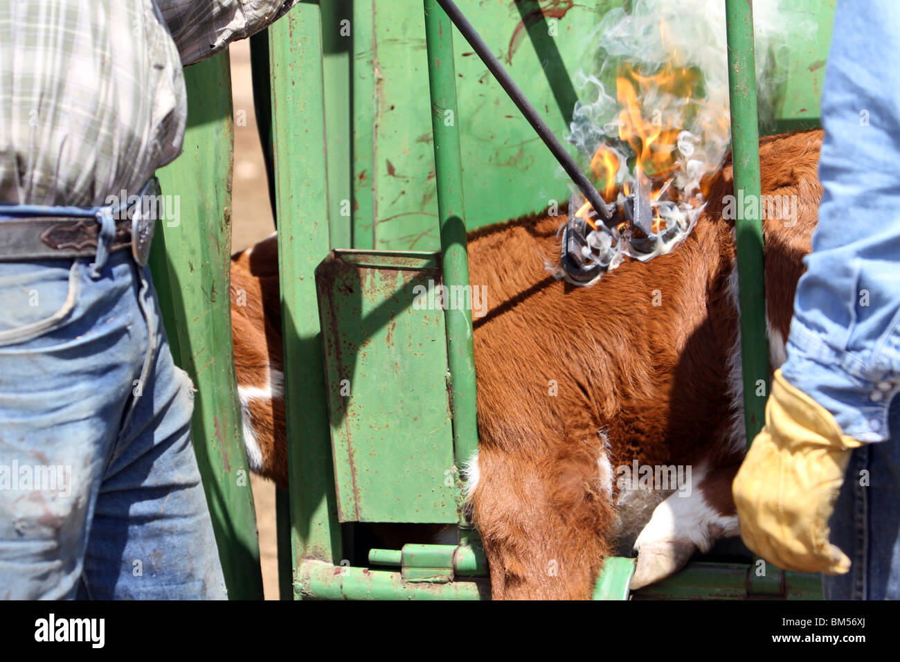 Burn skin scar hi-res stock photography and images - Alamy
