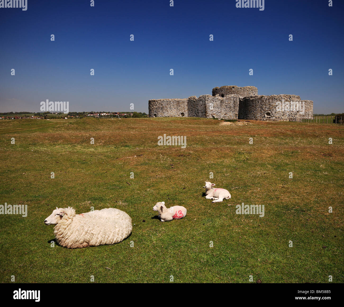 Camber castle hi-res stock photography and images - Alamy