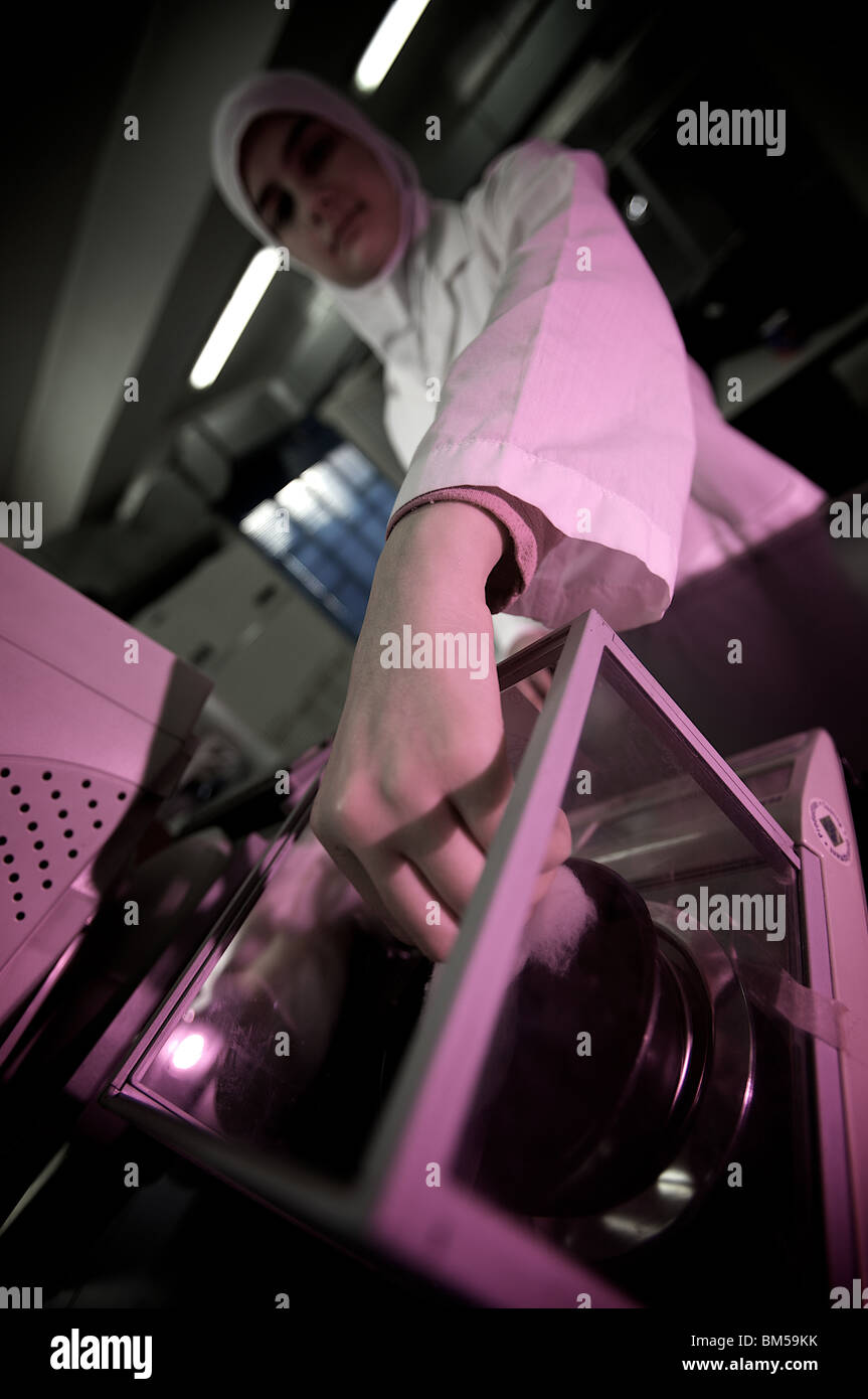 Quality control in a denim factory Stock Photo - Alamy