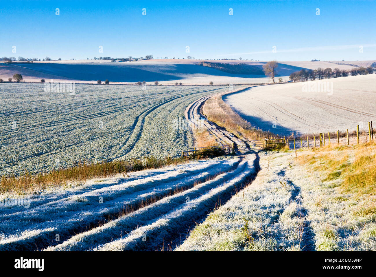 A sunny frosty winter landscape view or scene on the Downs in Wiltshire ...