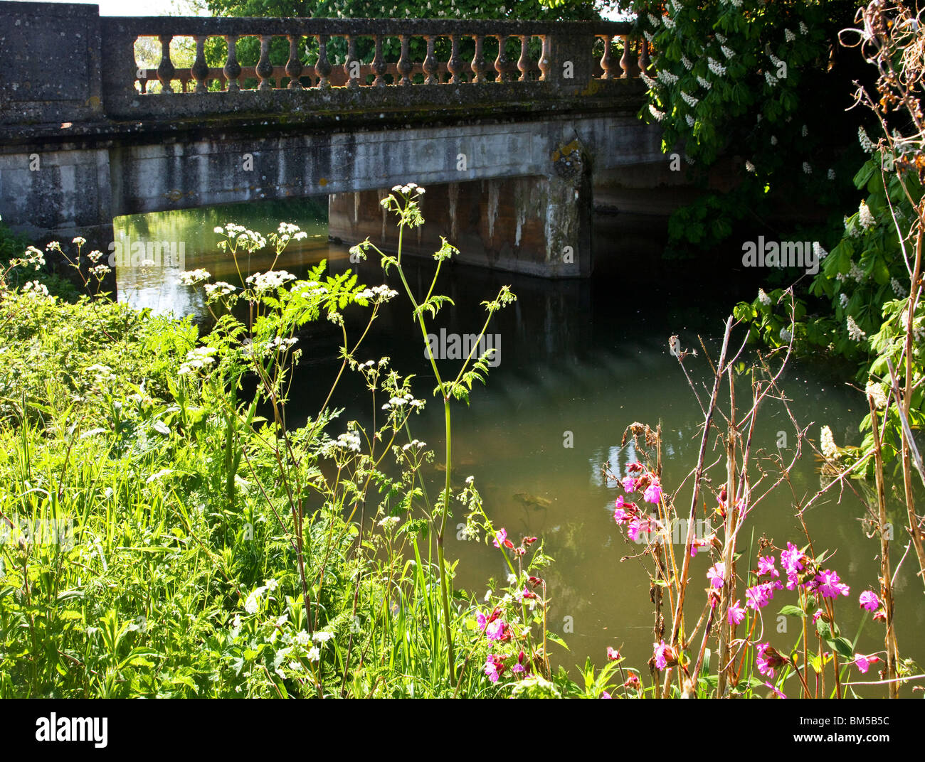 Narrow stone bridge hi-res stock photography and images - Alamy