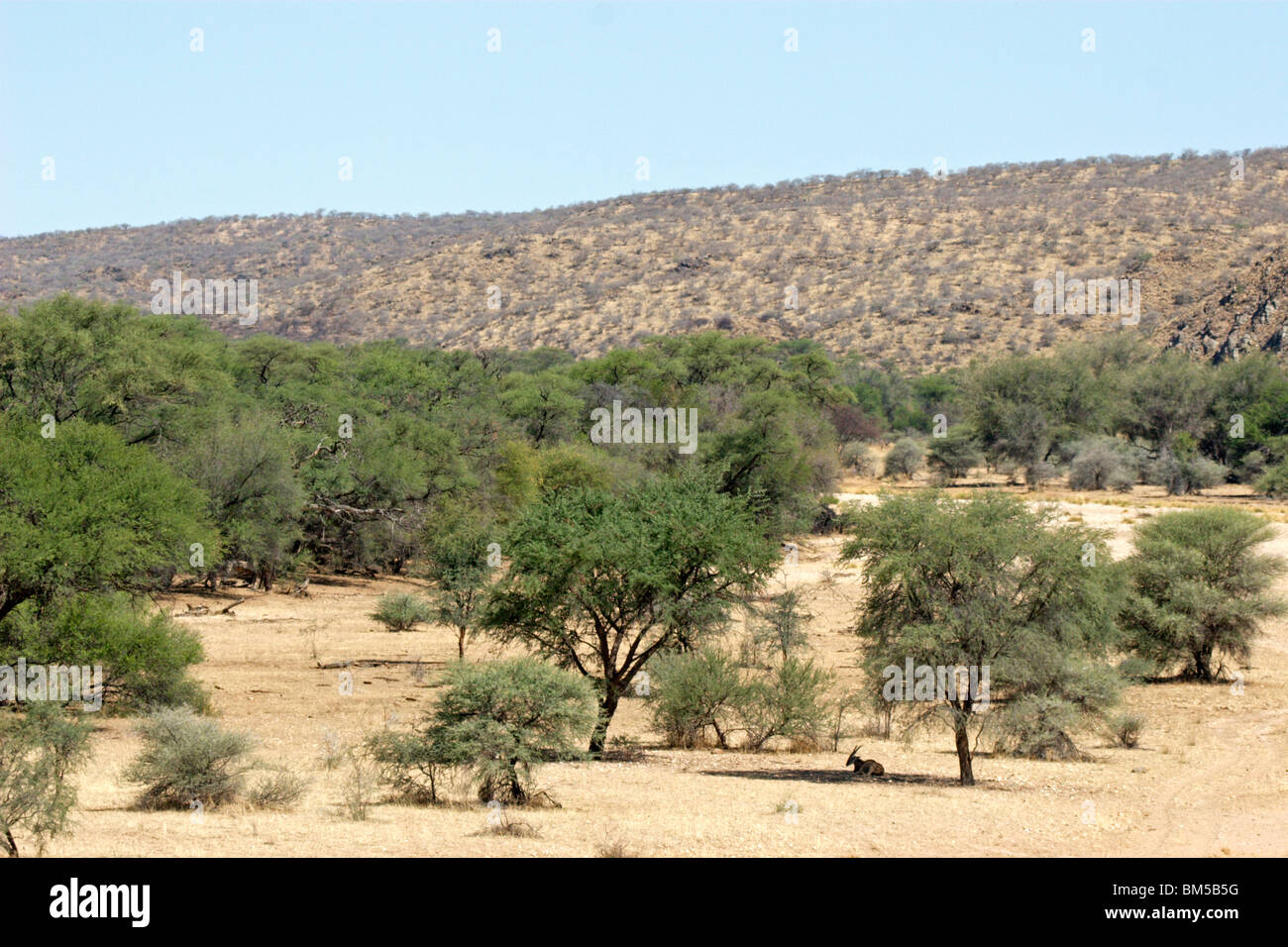 Shadow under a tree hi-res stock photography and images - Alamy