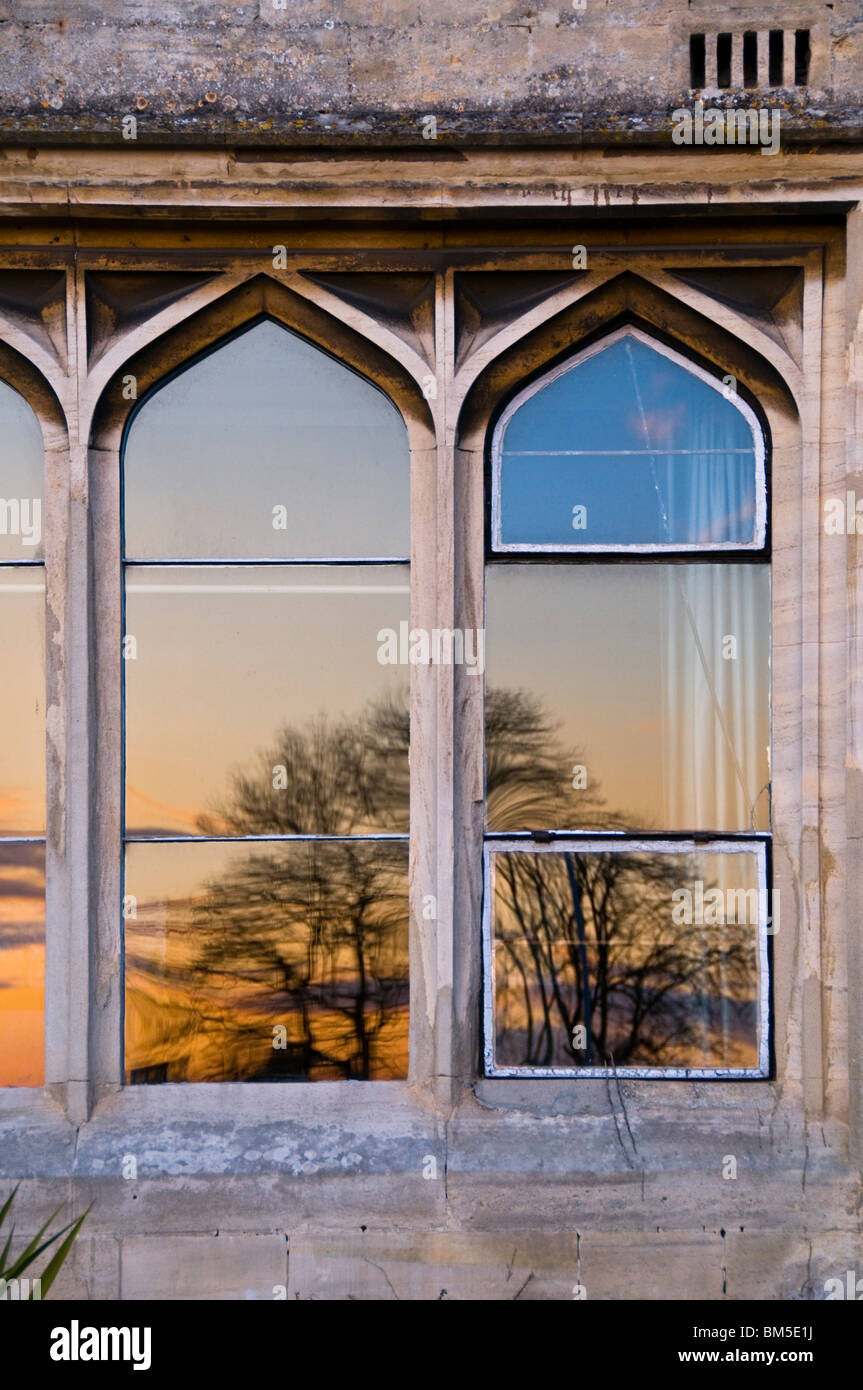 Reflection of sunset and silhouette of tree on windows of Cotswold ...