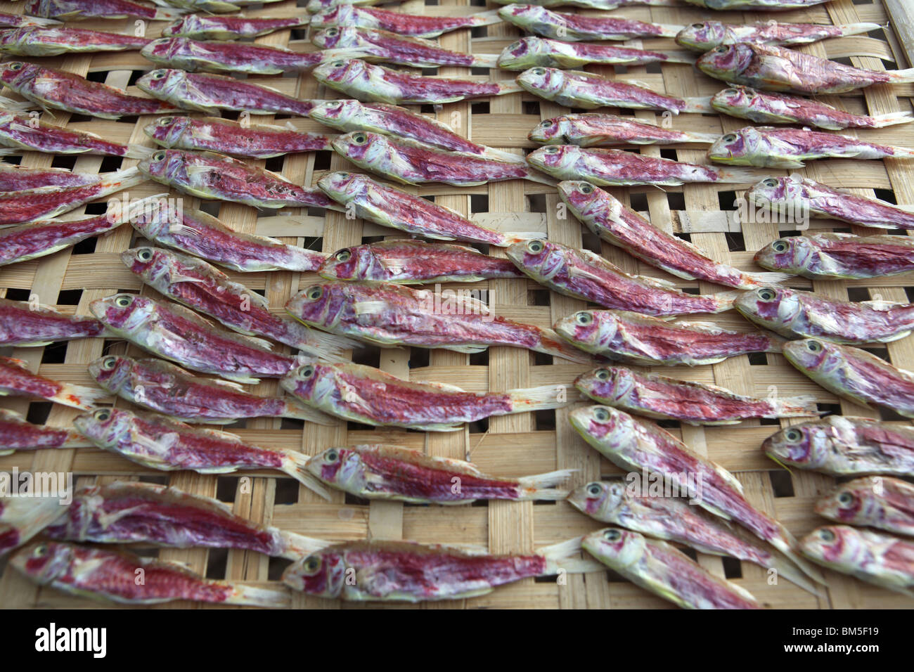 Bantanan hi-res stock photography and images - Alamy