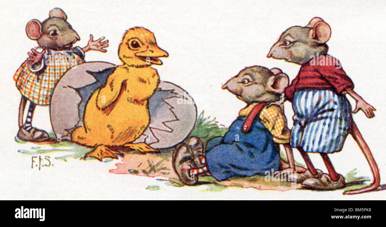 Chicken and mice hi-res stock photography and images - Alamy