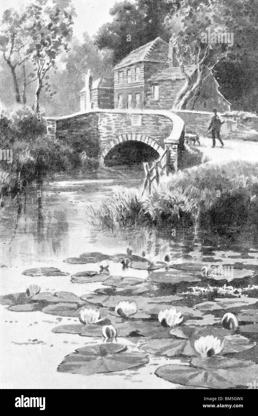 Water lily pond lilies Black and White Stock Photos & Images - Alamy