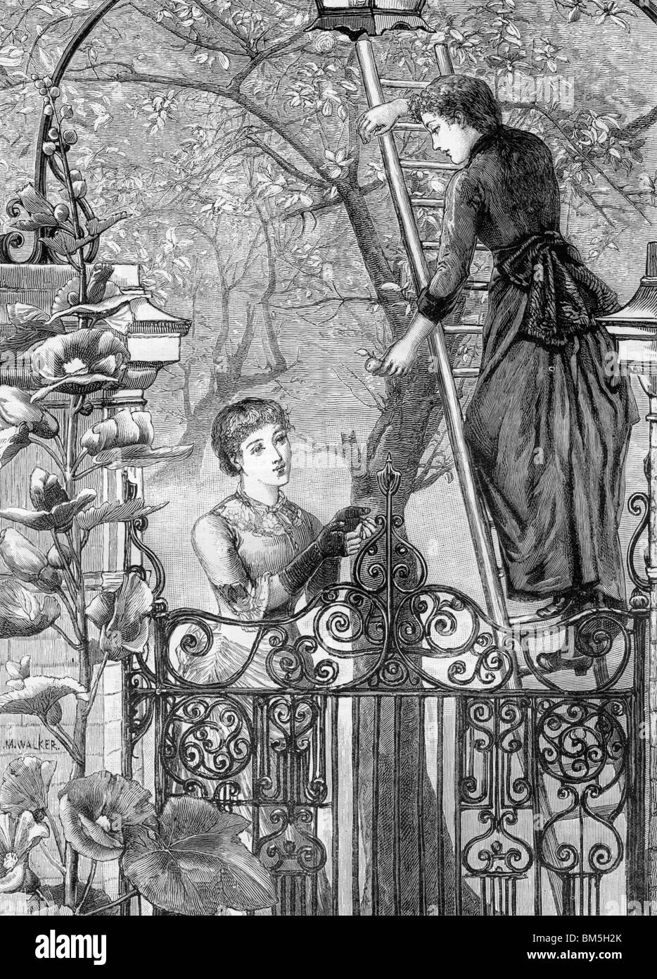 Period gardening Black and White Stock Photos & Images - Alamy