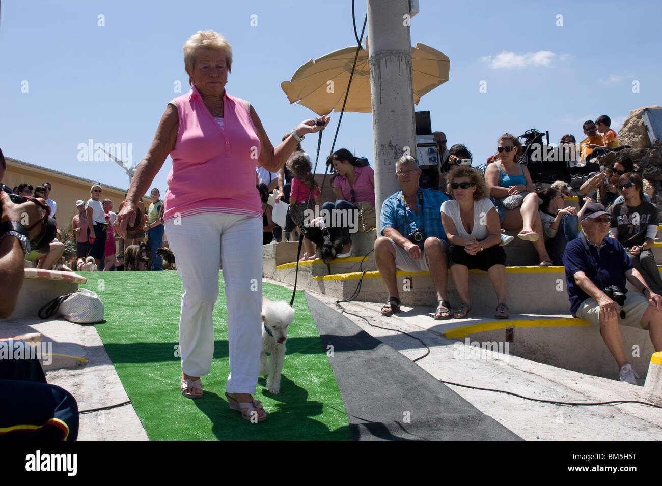 Poodle being lead by a woman in a pink top and white trousers Stock ...