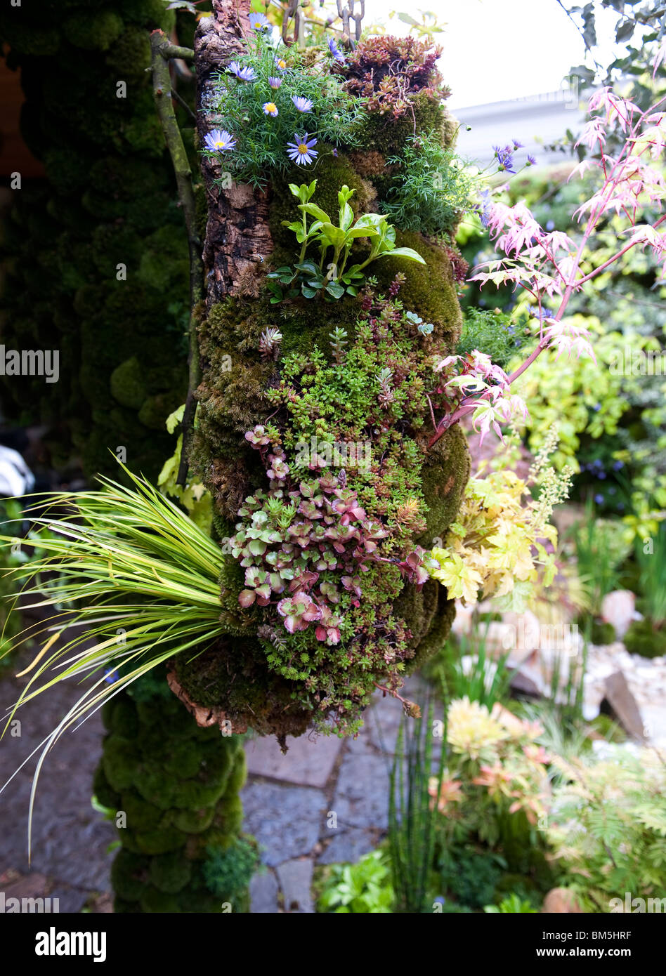 Chelsea Flower Show, London, UK Stock Photo - Alamy