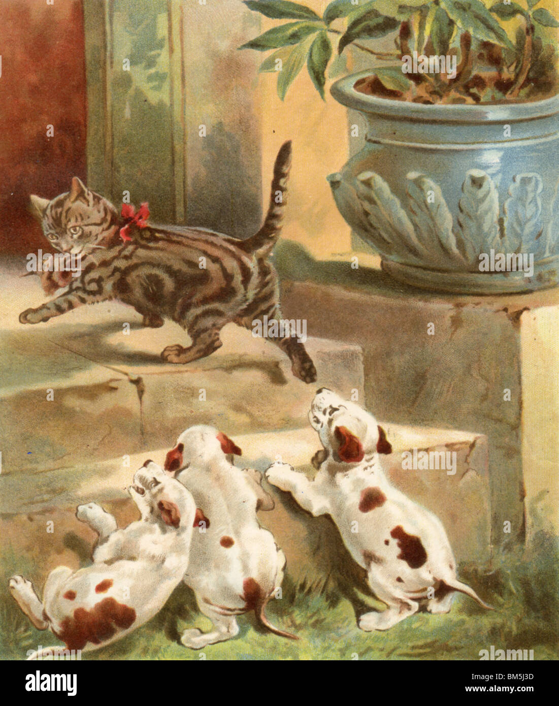 Dog chasing cat hi-res stock photography and images - Alamy