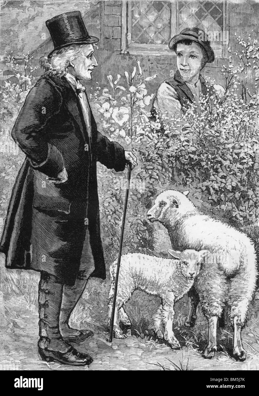 Victorian lamb Black and White Stock Photos & Images - Alamy