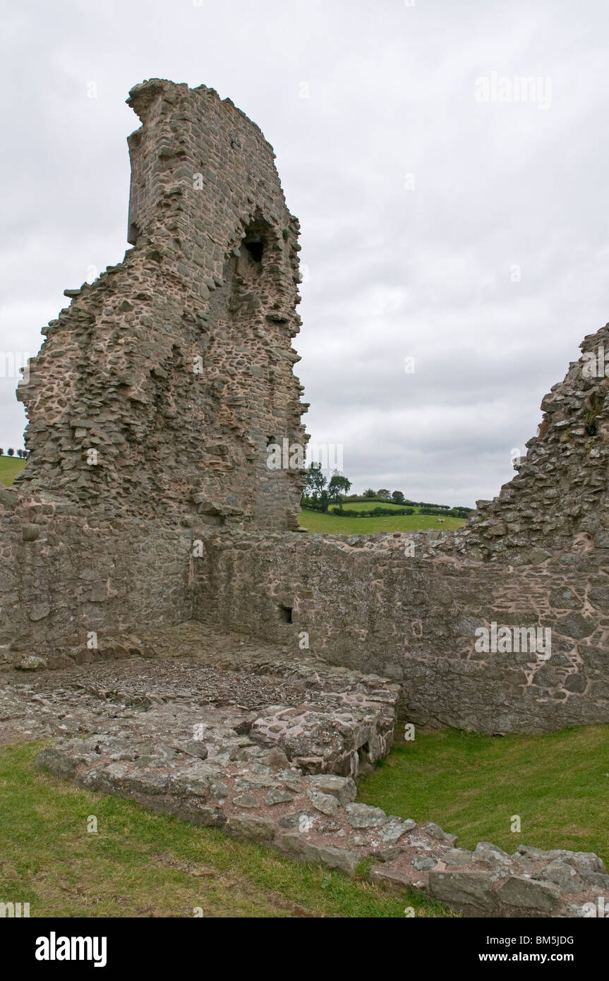 The remnants of Montgomery Castle, Powys, Wales Stock Photo - Alamy