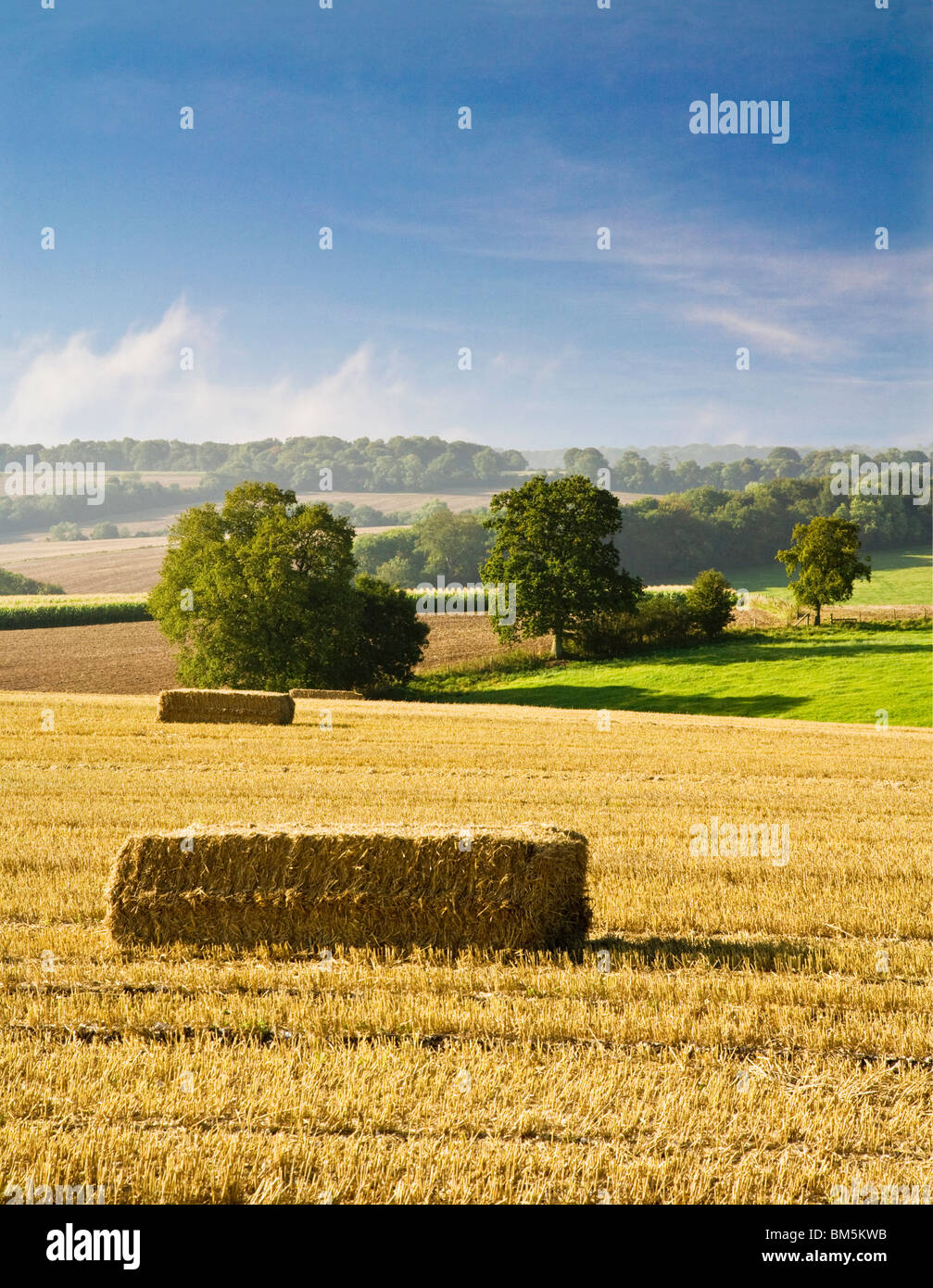 Hay bale fields hi-res stock photography and images - Alamy