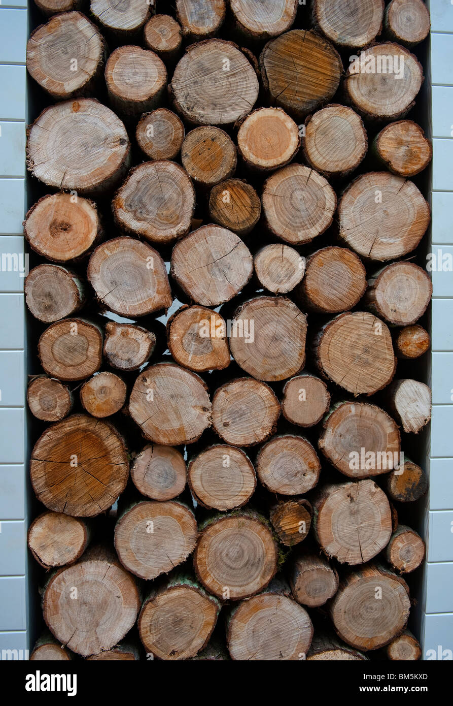 Show oak hi-res stock photography and images - Alamy