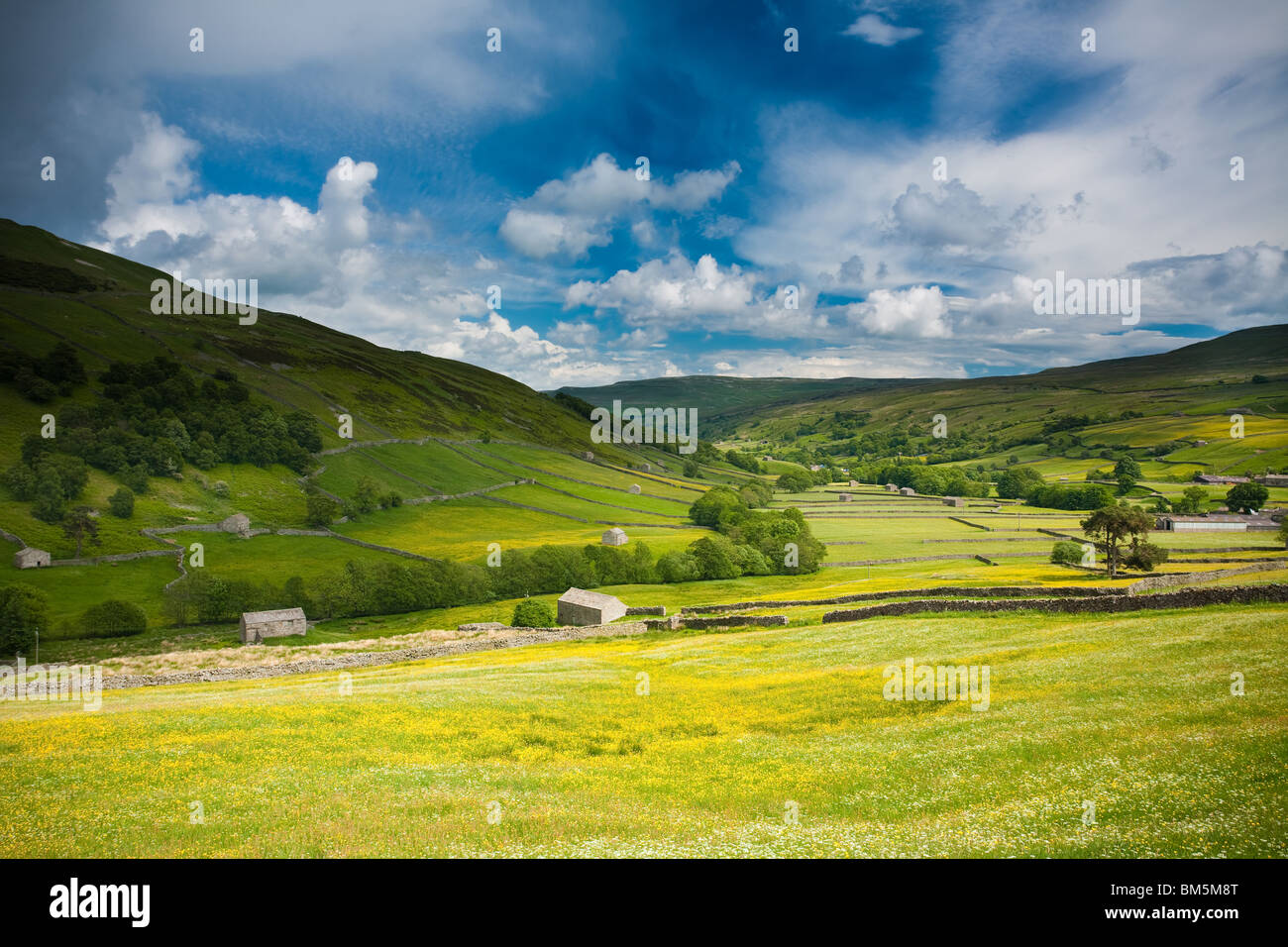 Wild Flowers and dramatic sky in the valley of Swaledale, Yorkshire ...