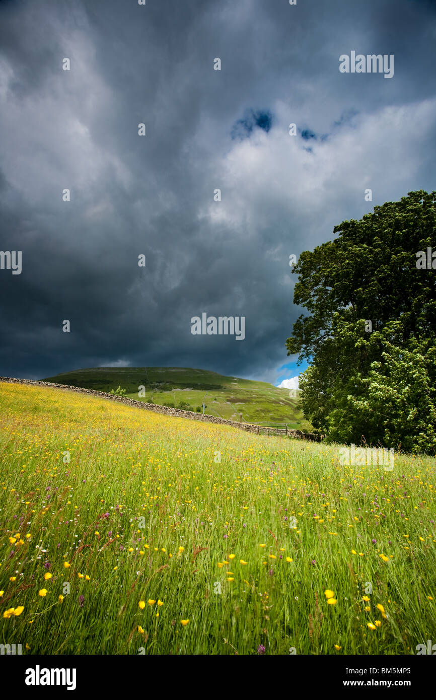 Swaledale town hi-res stock photography and images - Alamy