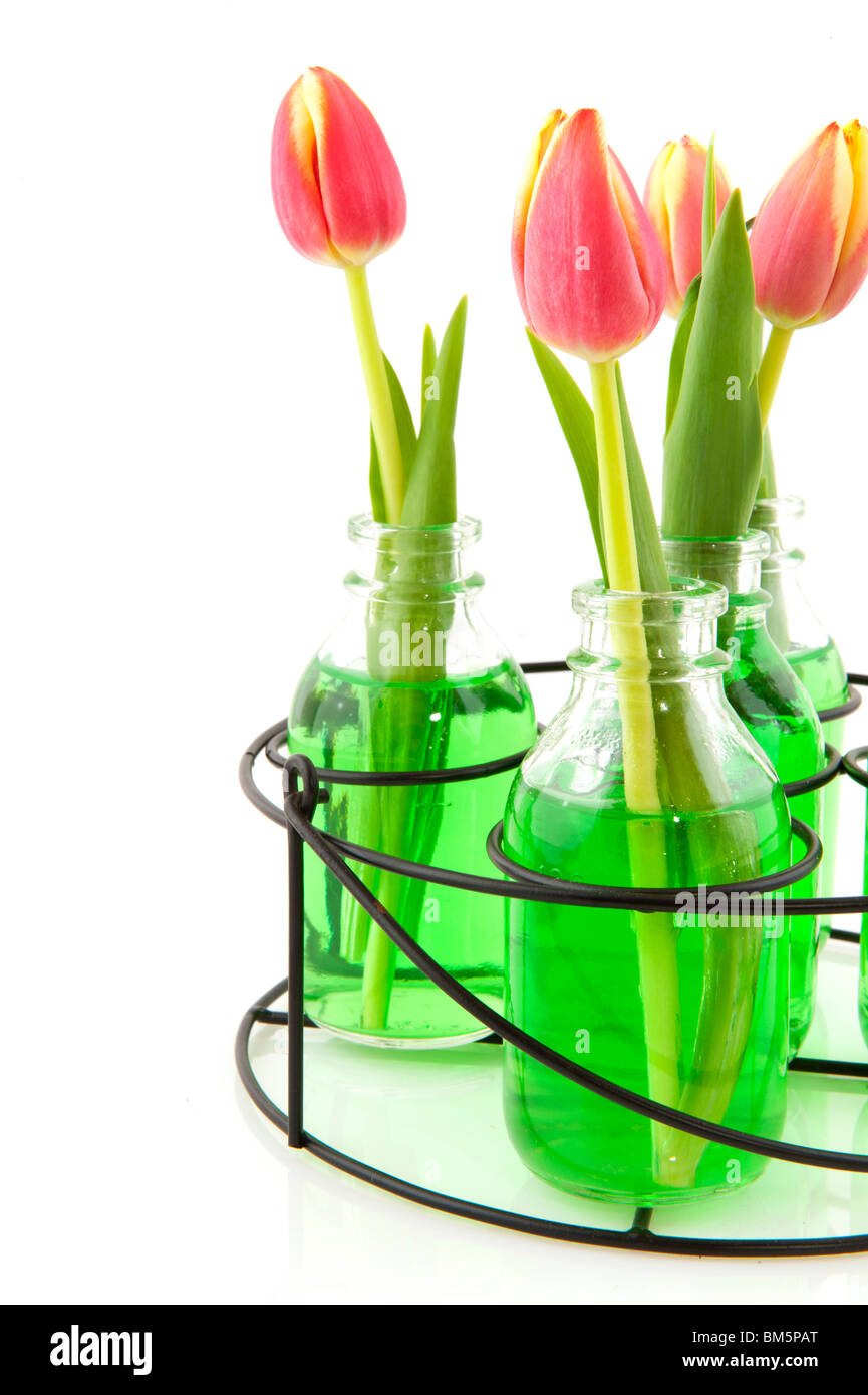 Tulips in bottles hi-res stock photography and images - Alamy