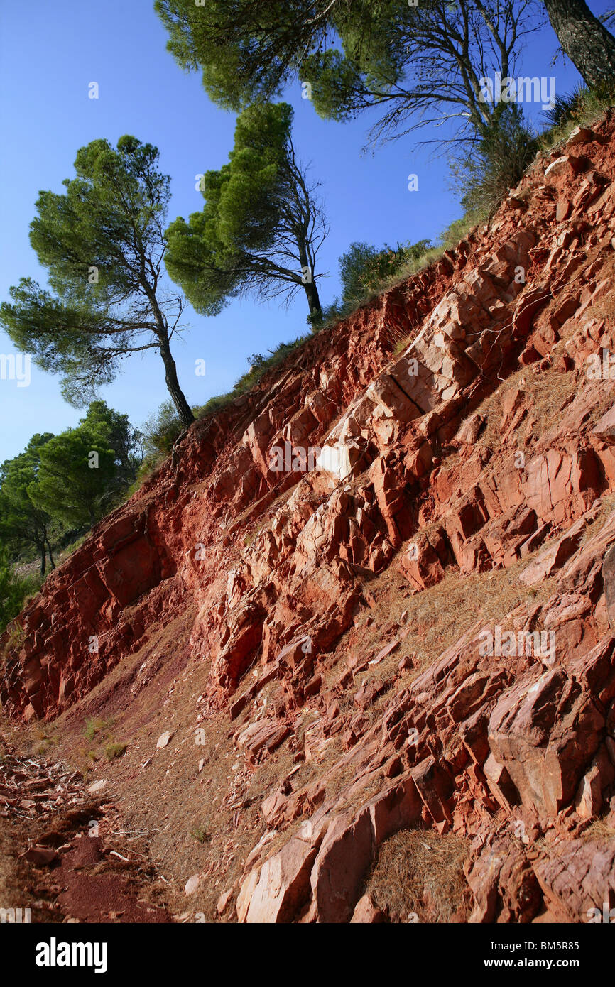 Rodeno red stone mountain side with pine trees Stock Photo - Alamy