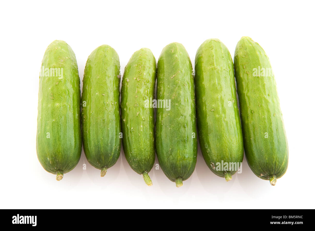 Fresh green cucumber isolated on white background Stock Photo - Alamy