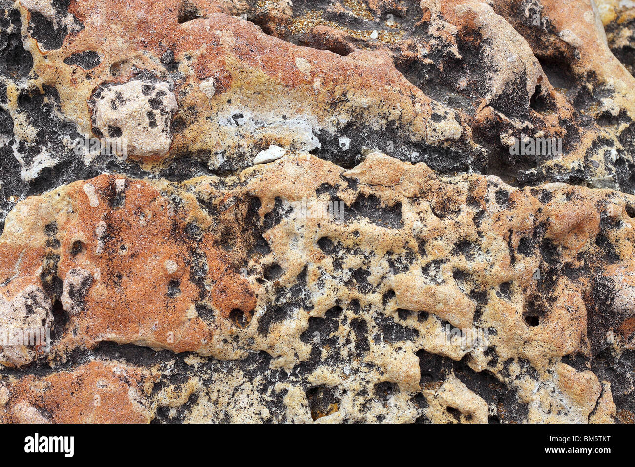 mediterranean coastal limestone aged Stock Photo - Alamy
