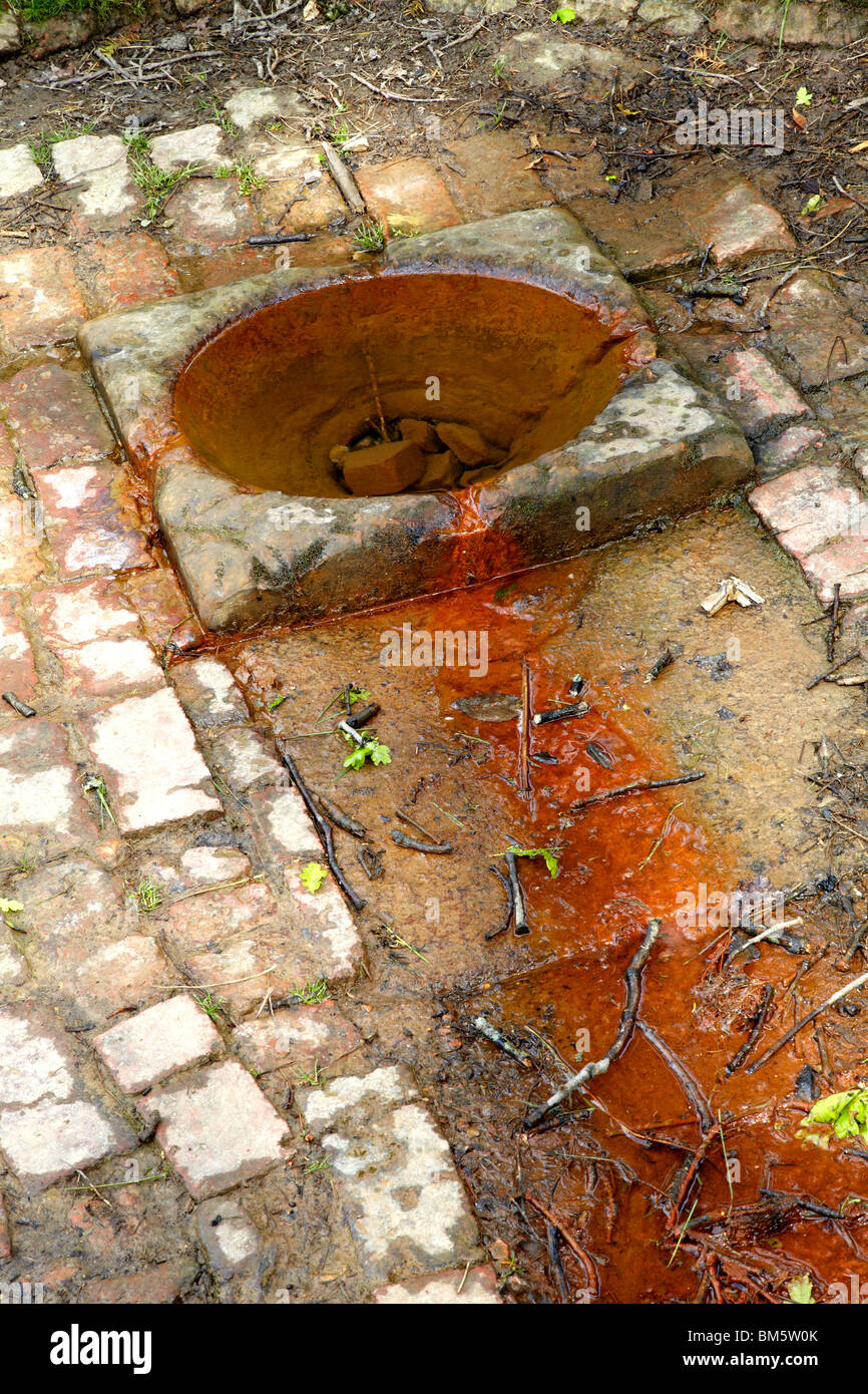 Chalybeate spring, Dunorlan Park, Tunbridge Wells Stock Photo - Alamy
