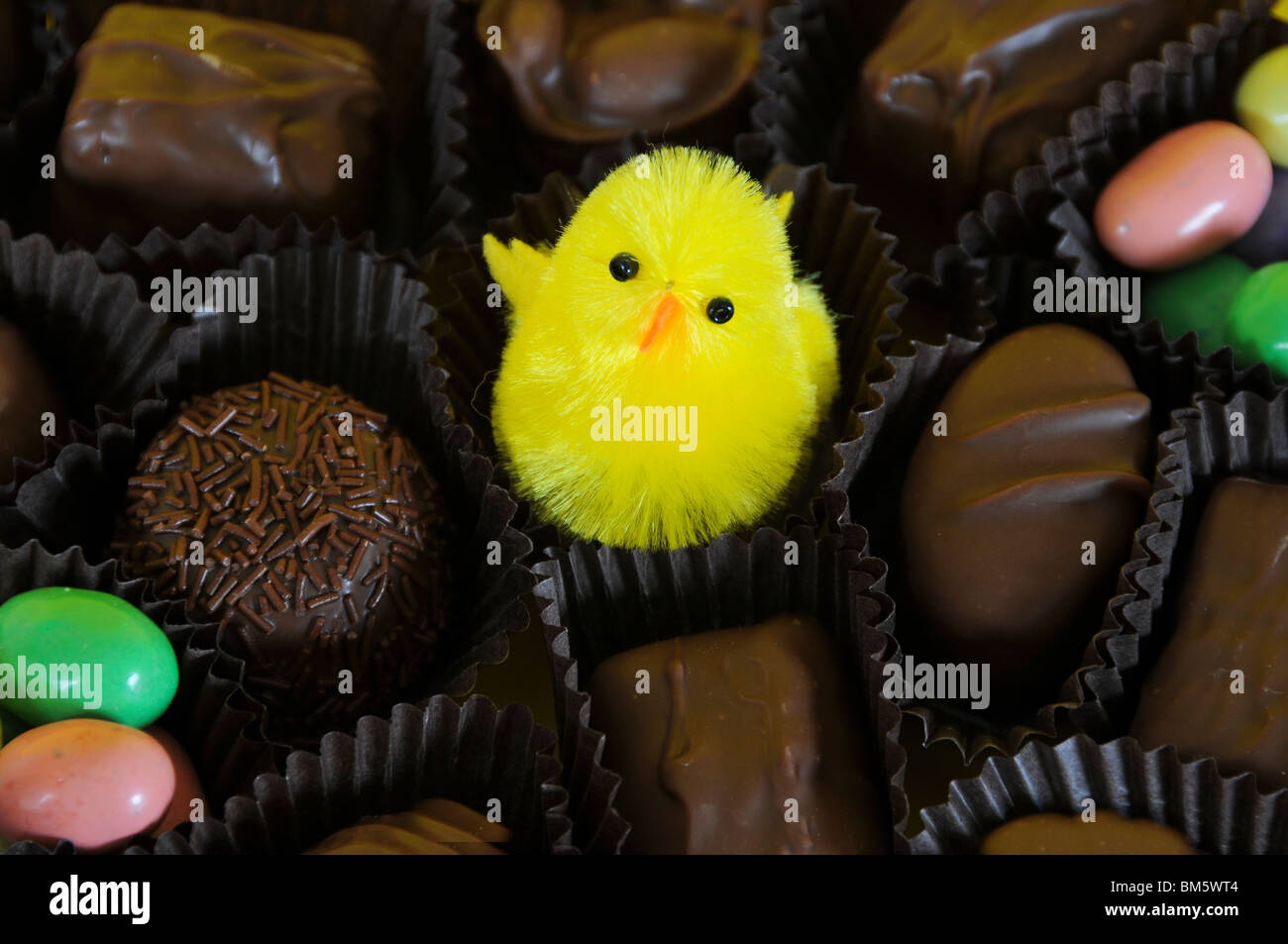 Selection of Candy with Chick Stock Photo - Alamy
