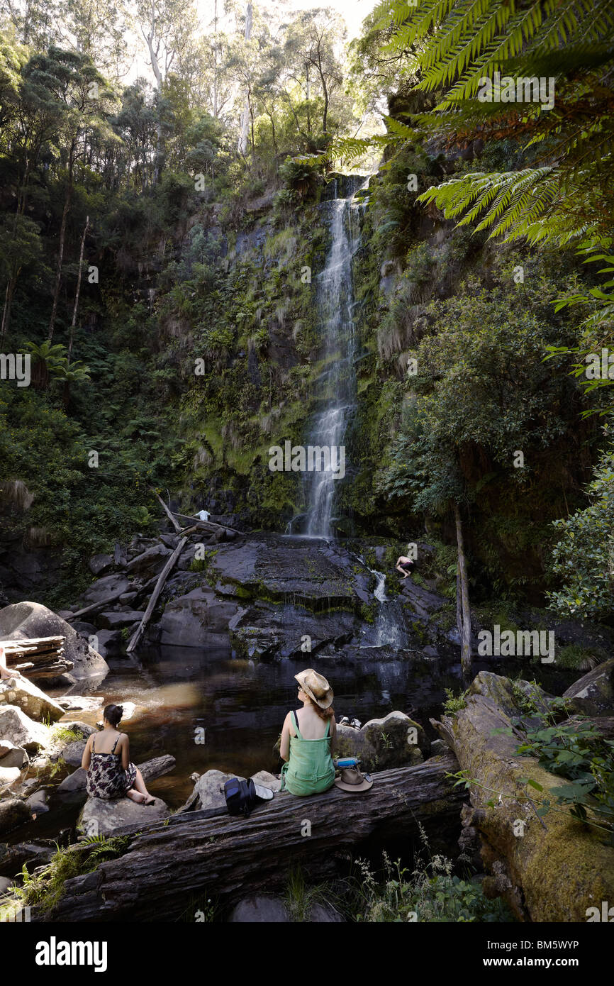 The Eskine Falls, Great Otway National Park, Victoria, Australia Stock ...