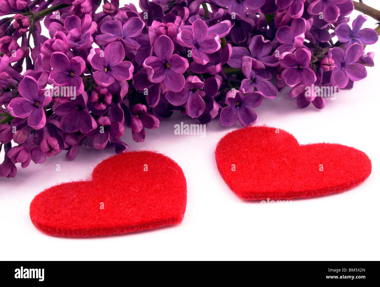 Lilac heart hi-res stock photography and images - Alamy