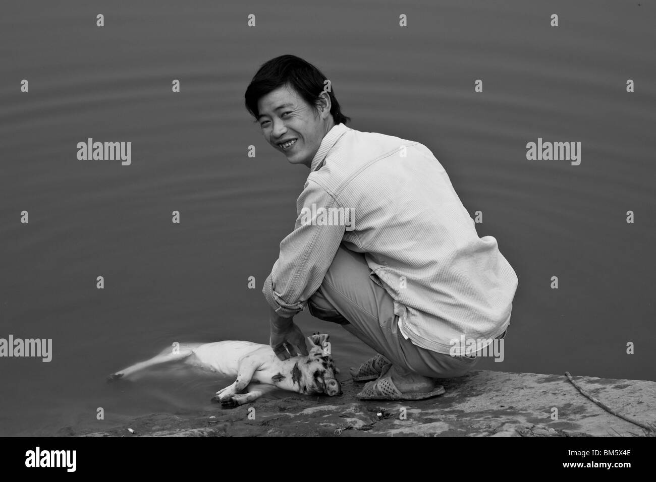 Man Cleaning Pig In The Lake, Sapa, Vietnam Stock Photo - Alamy