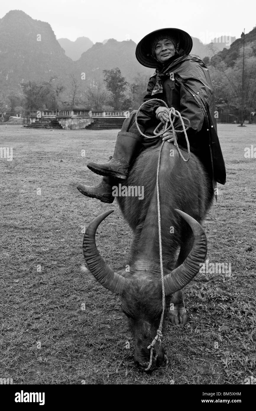 Buffalo rider hi-res stock photography and images - Alamy