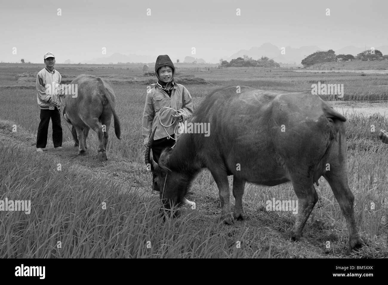 Rural Life, Ninh Binh Area, Vietnam Stock Photo - Alamy