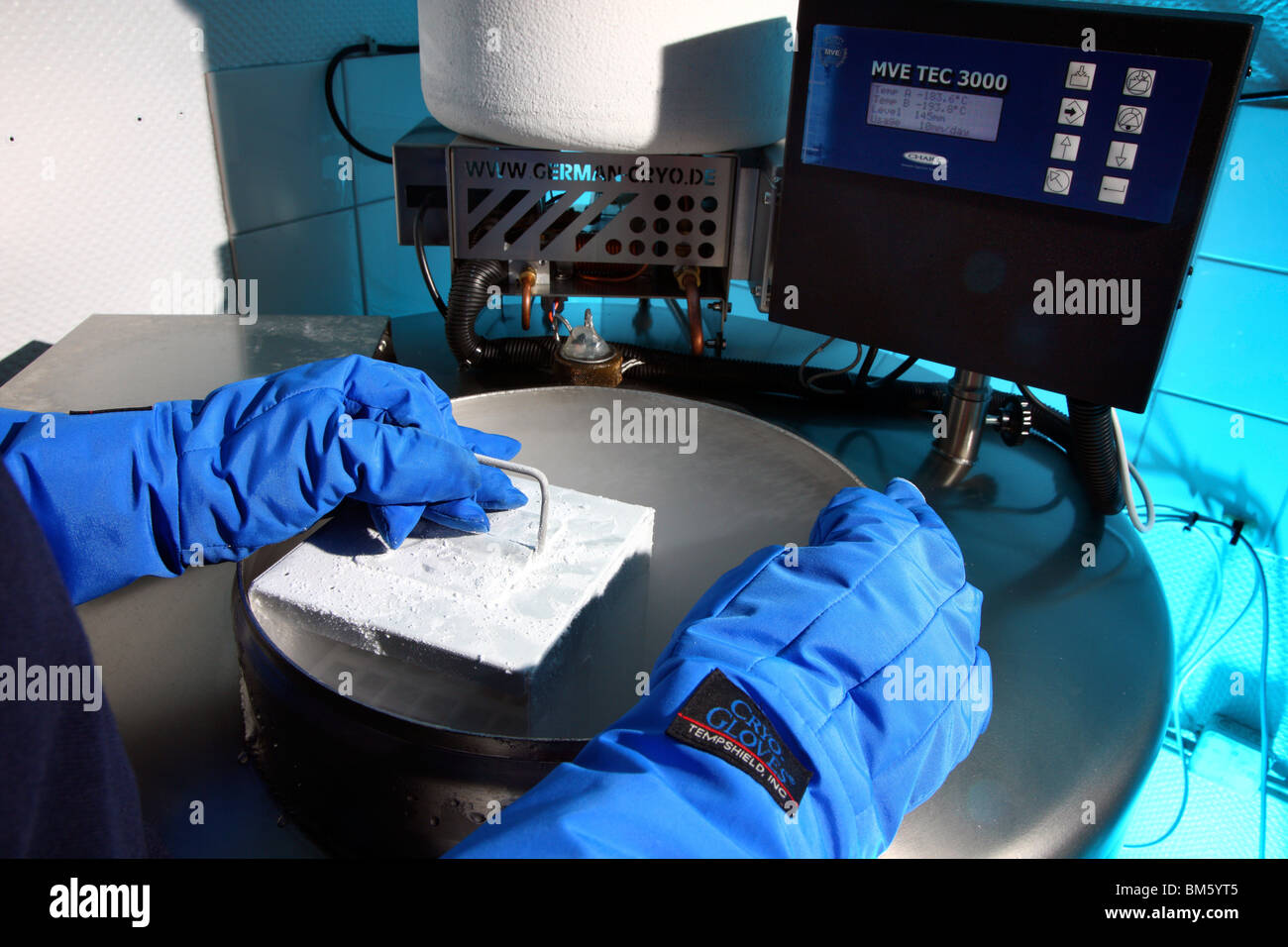Clinic for in vitro fertilization. Artificial fertilization. Sperm is ...