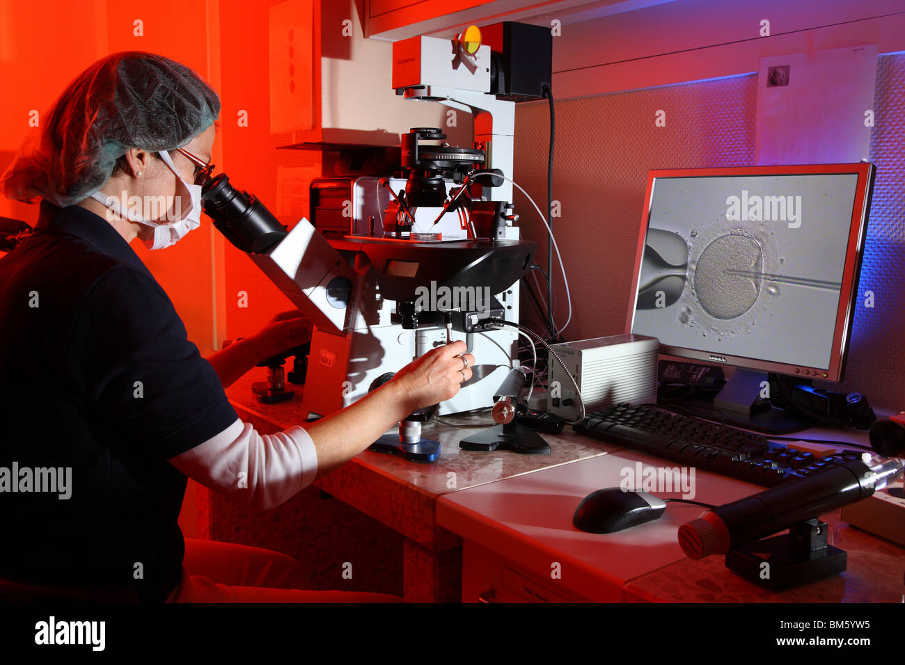 Private Clinic for in vitro fertilization. Artificial fertilization ...