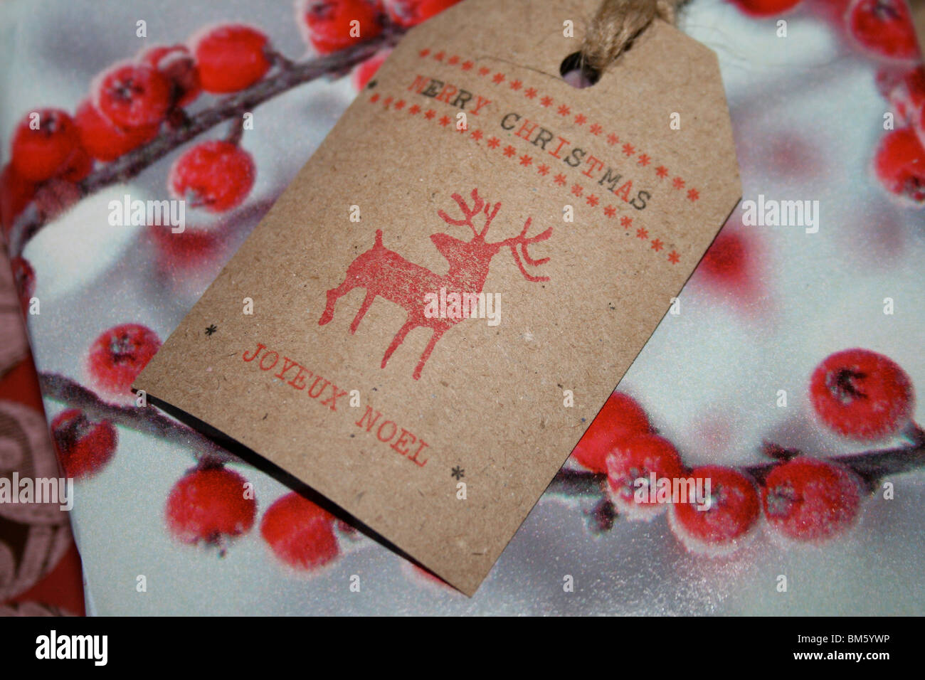 Christmas present with reindeer gift tag Stock Photo - Alamy