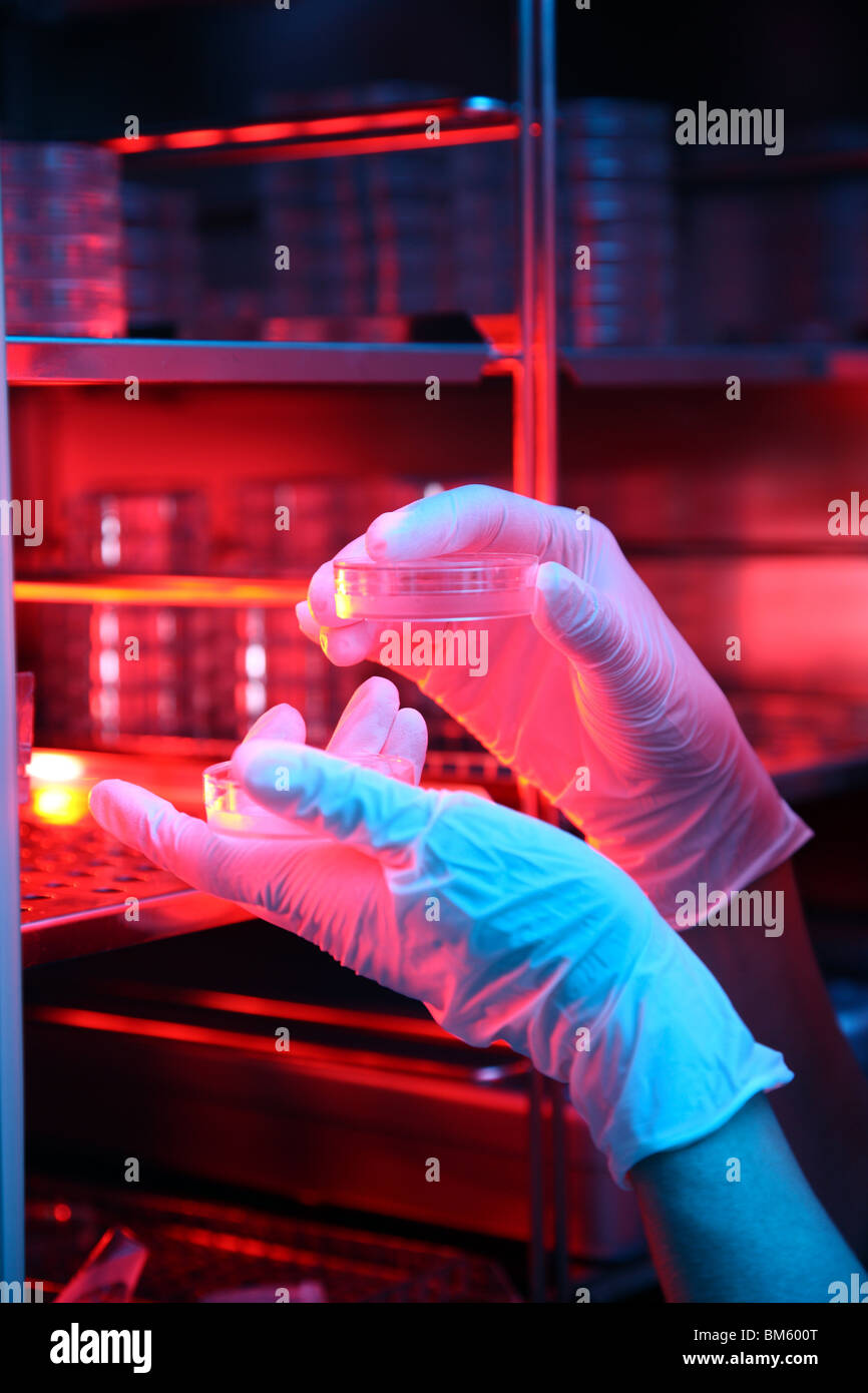 Ivf incubator High Resolution Stock Photography and Images - Alamy