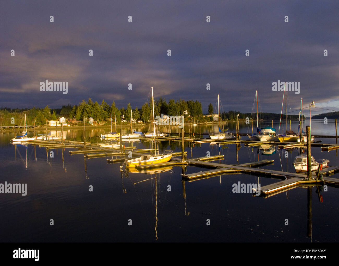 Steamboat Island, East Puget Sound, Olympia, Washington Stock Photo - Alamy