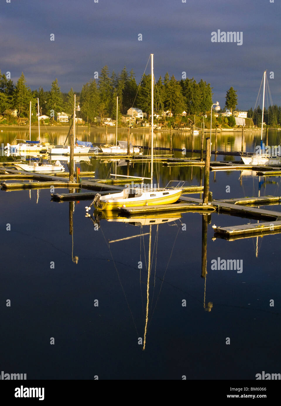 Steamboat Island, East Puget Sound, Olympia, Washington Stock Photo - Alamy