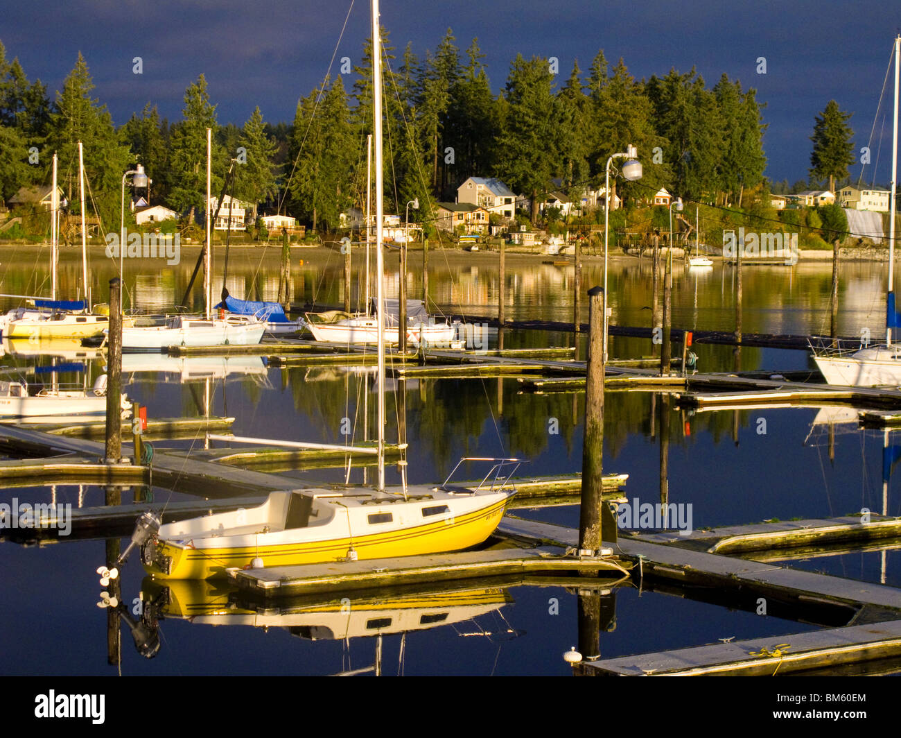 Steamboat Island, East Puget Sound, Olympia, Washington Stock Photo - Alamy