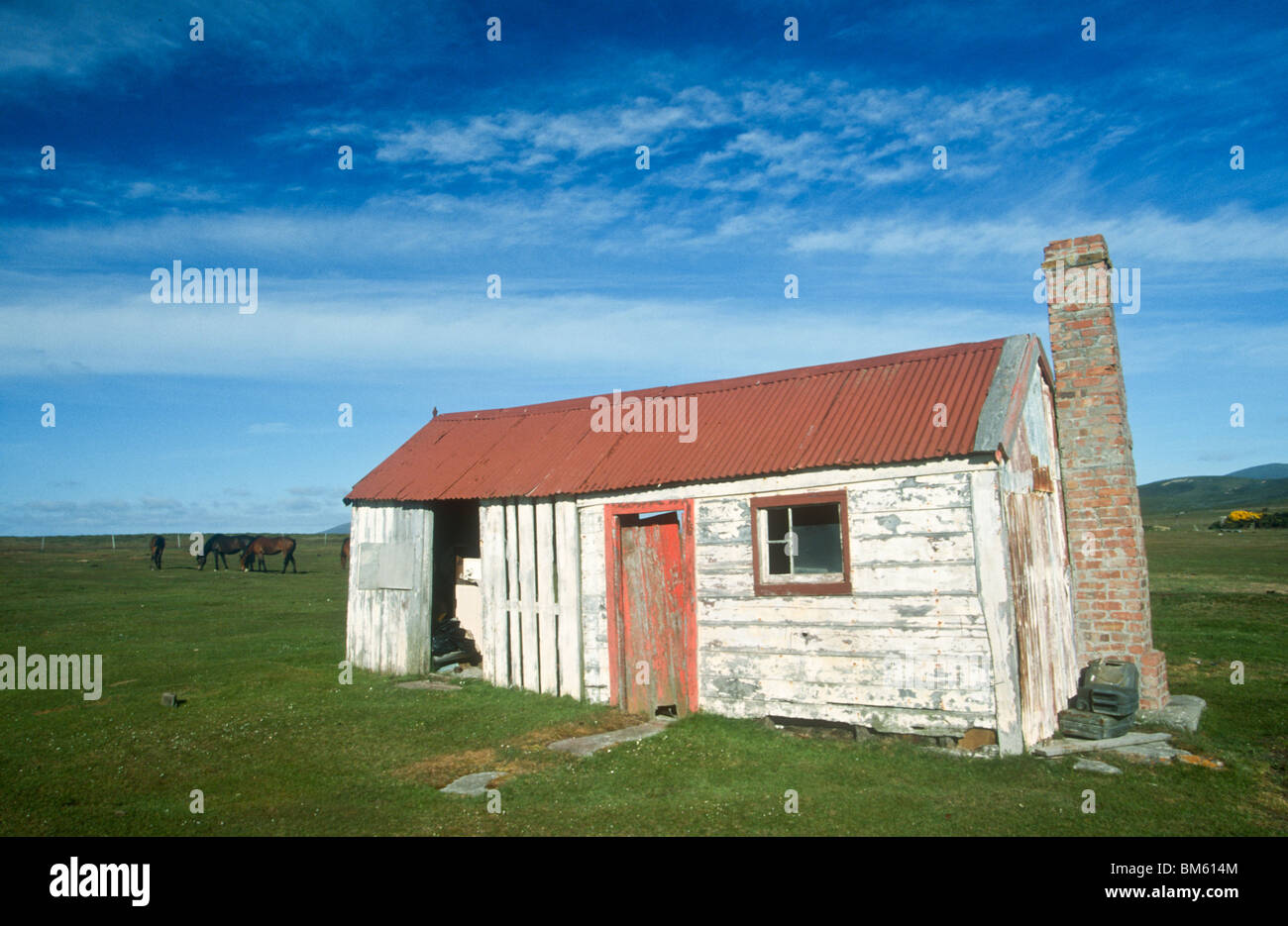 Farm building, Saunders Island, Falklands Stock Photo - Alamy